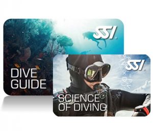 SSI – Professional – Dive 90
